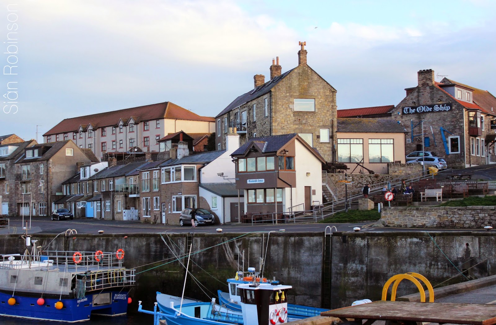 The Wild Things : Trip to Seahouses Northumberland