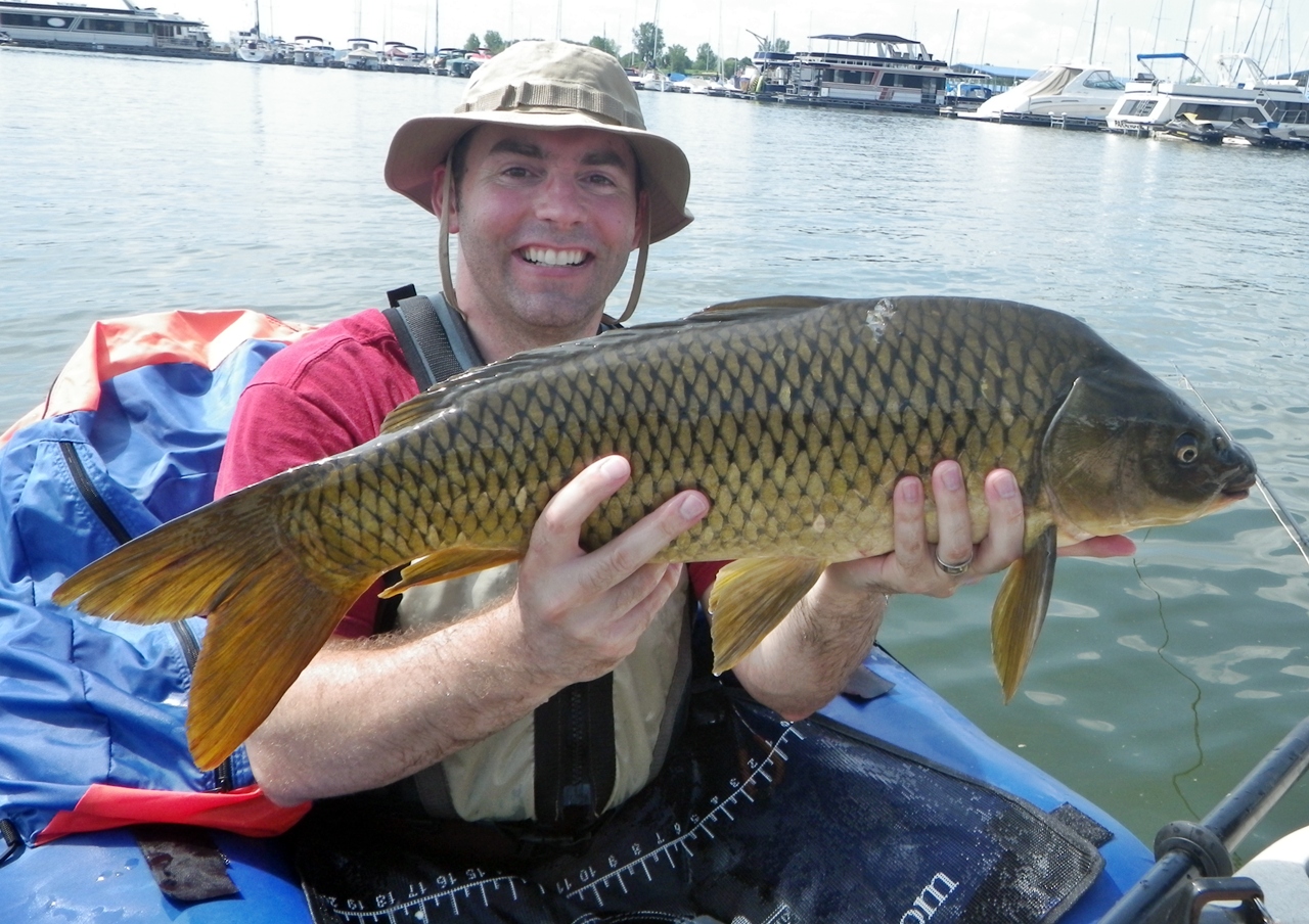 Fish On!: Cyprinus Carpio