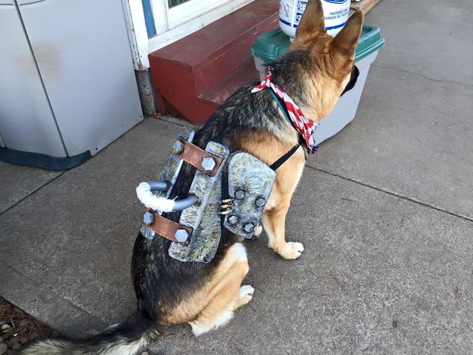 Fallout 4 - Dogmeat Cosplay