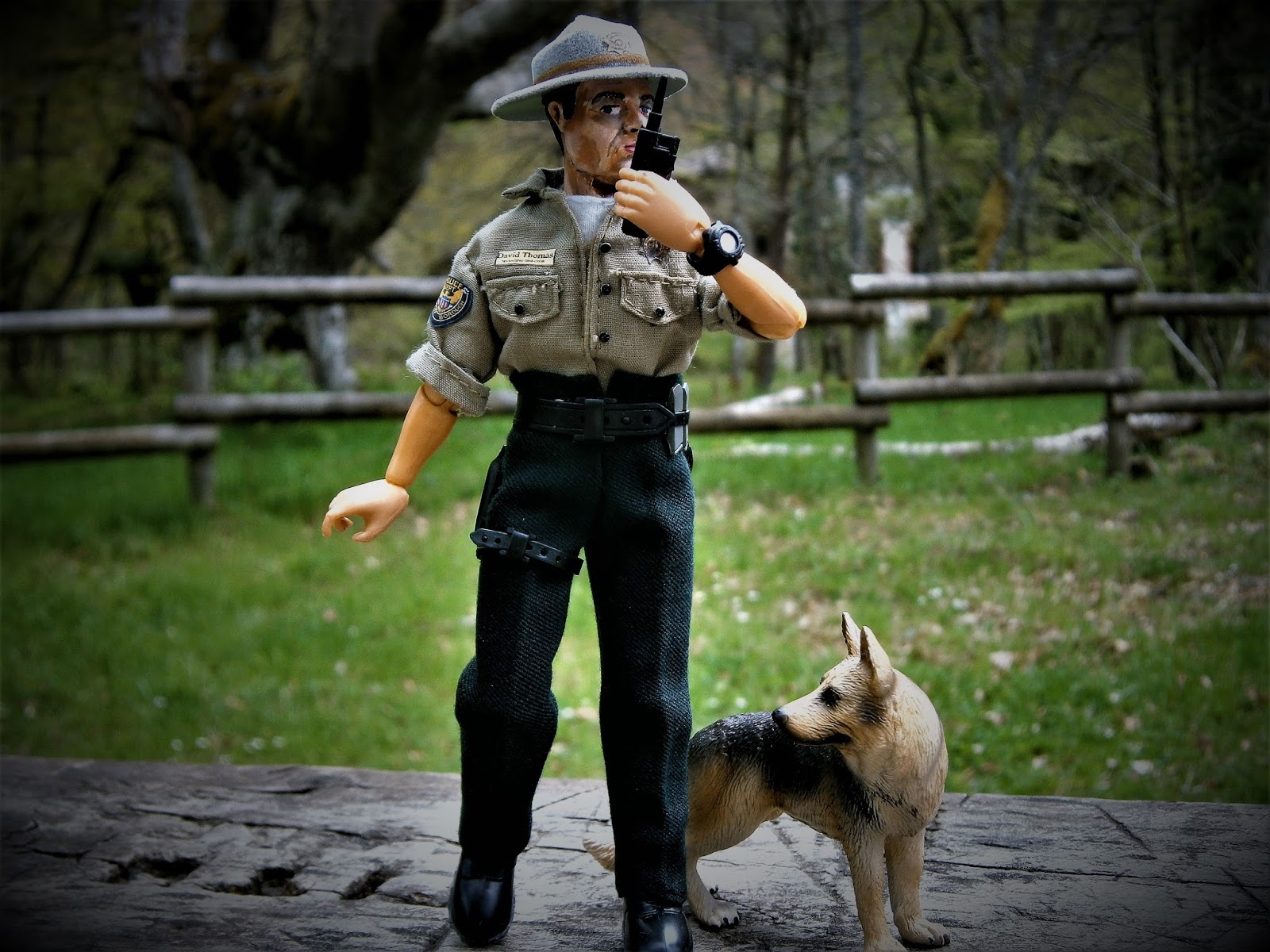 Varon Cook y sus colecciones: *** EEUU - Guardabosques