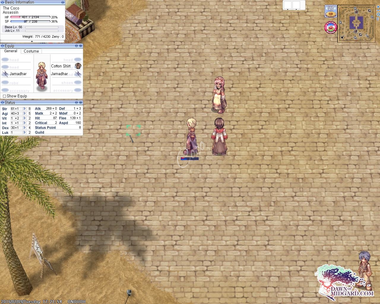 My Life in Ragnarok: Coco's Assassin Leveling Guide (Grimtooth)