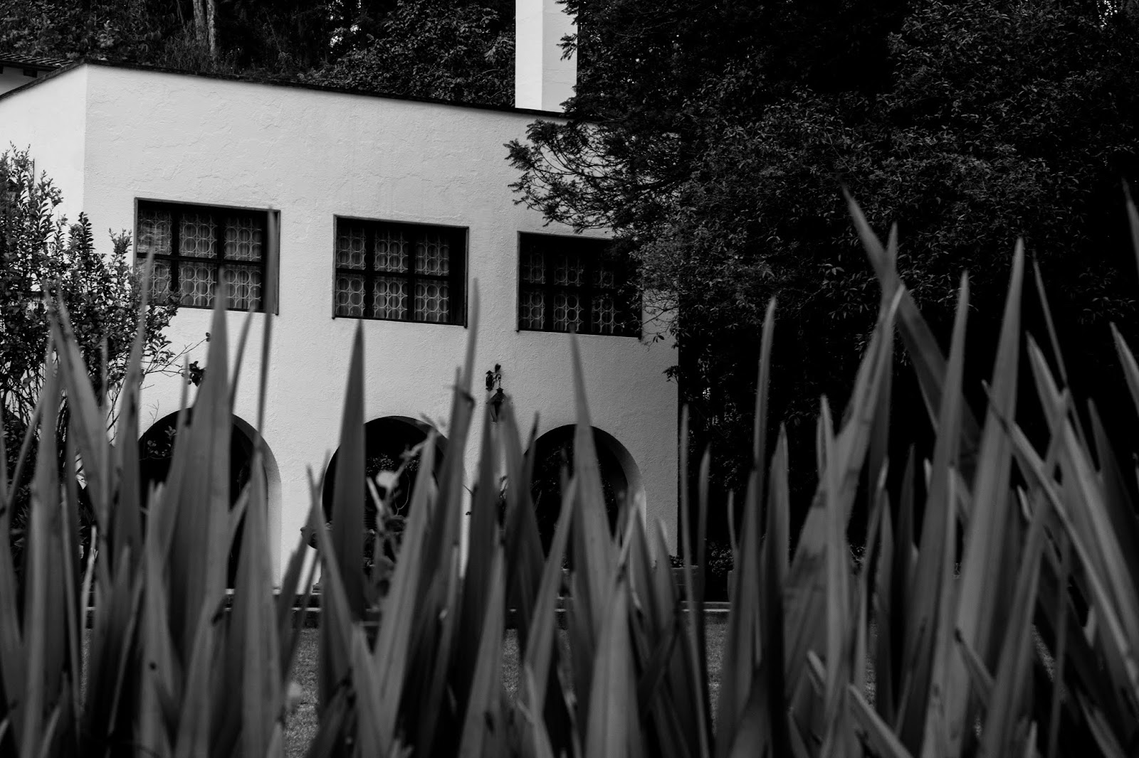 Blog de notas: La Capilla del Hombre