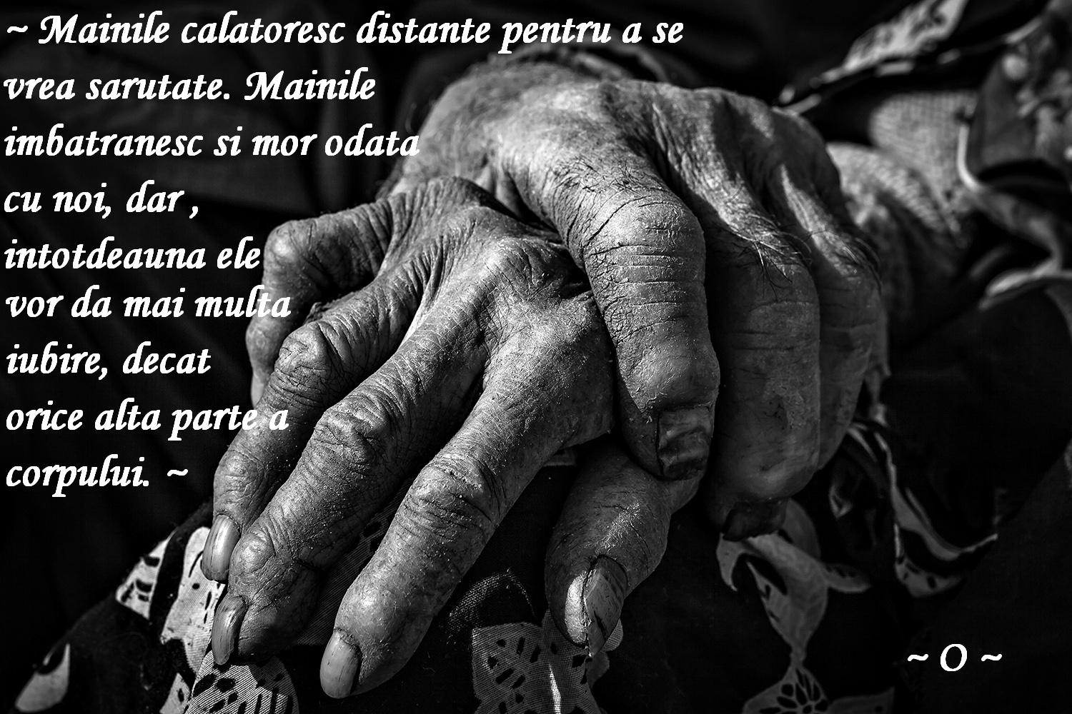 Odine ~ Carte de Iubire~: ~ Mainile