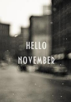 the cupcake chronicles