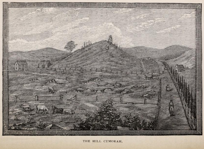 Letter VII (7): Reminiscences of Edward Stevenson