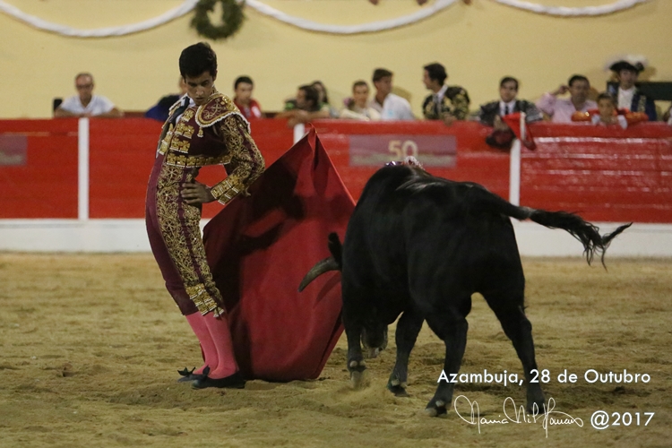 Farpas Blogue: Azambuja honrou meio século de actividade dos seus Forcados