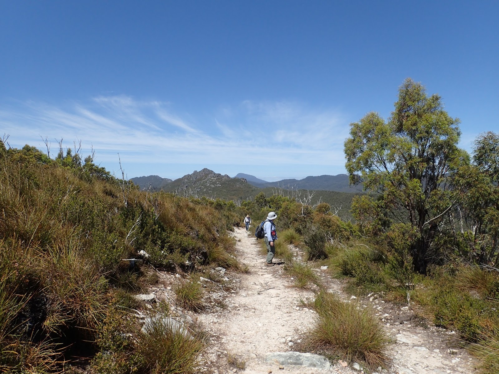 Adamsfield | Hiking South East Tasmania