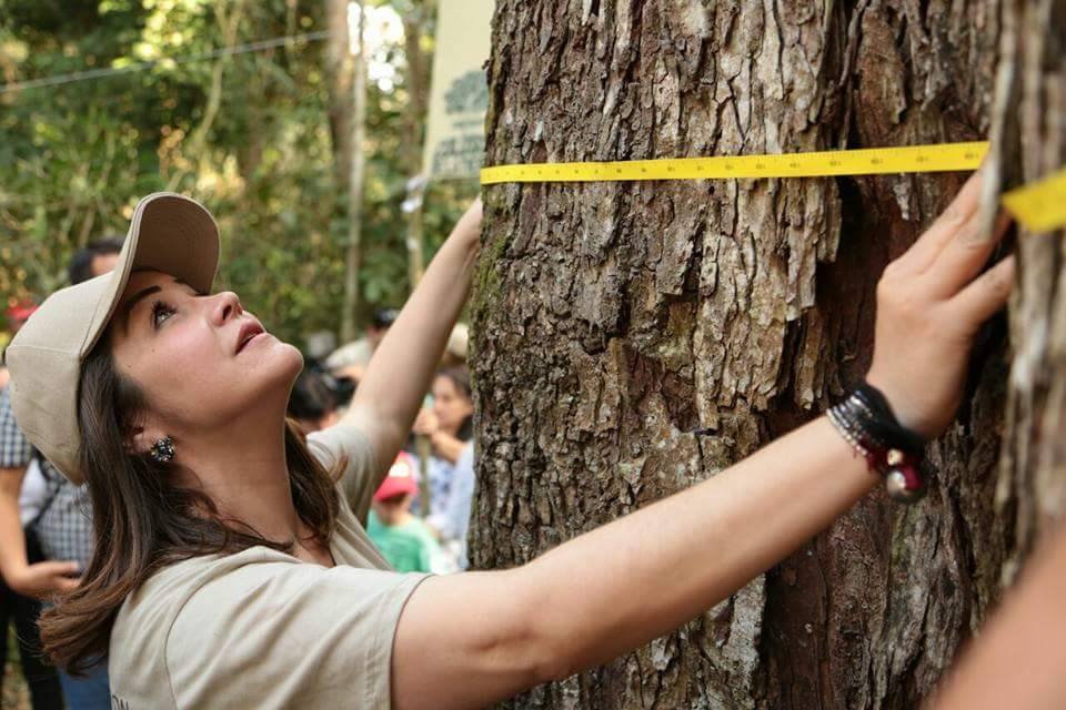 3 Millones Paraguay: ARTIGAS (Itapúa Paraguay): ENORME EJEMPLAR DE ...