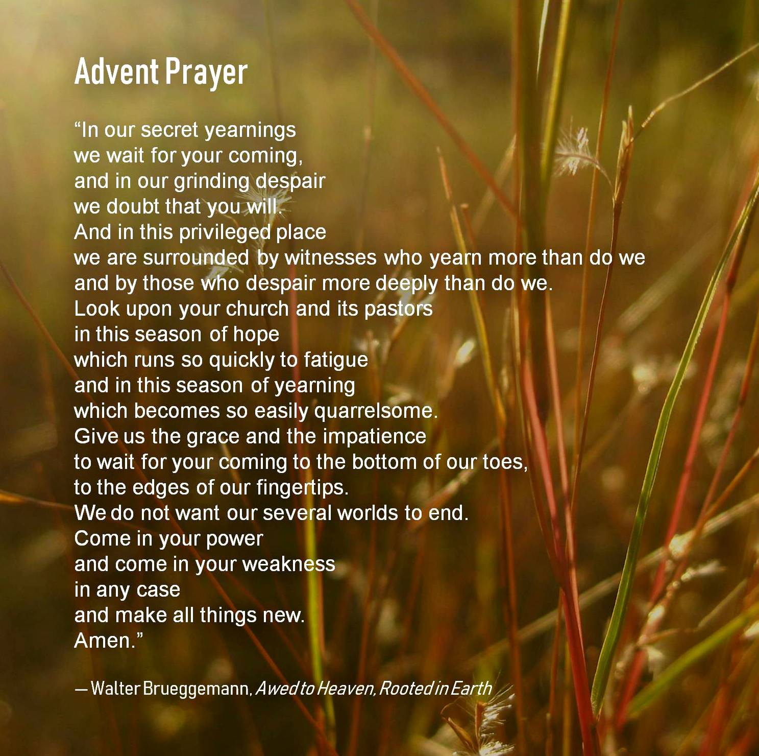 Lineage of Expectation: An Advent Blog: Advent Prayer by Walter Brueggemann