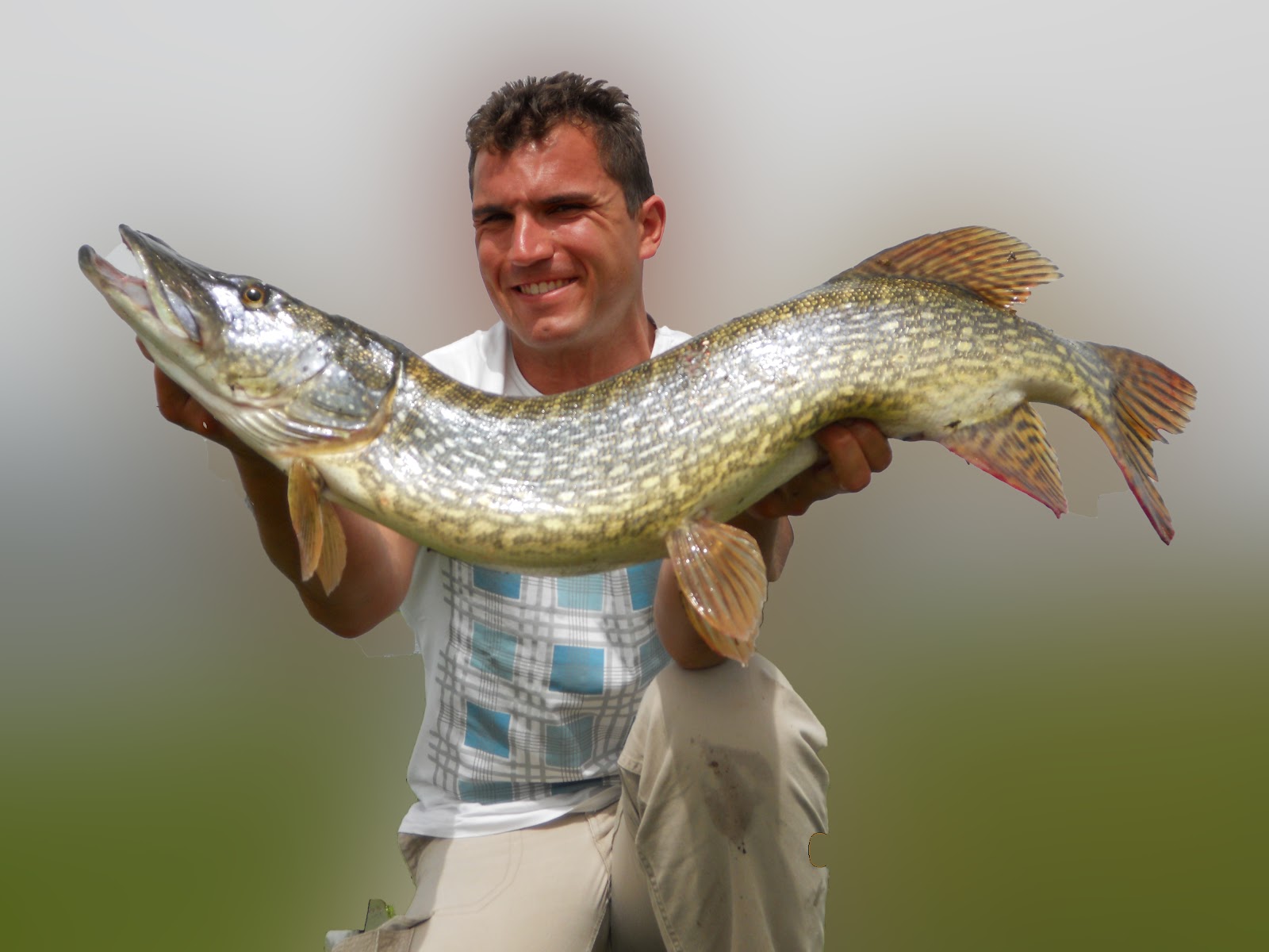 .: MI PRIMER LUCIO. QUE HAGO!!!!!