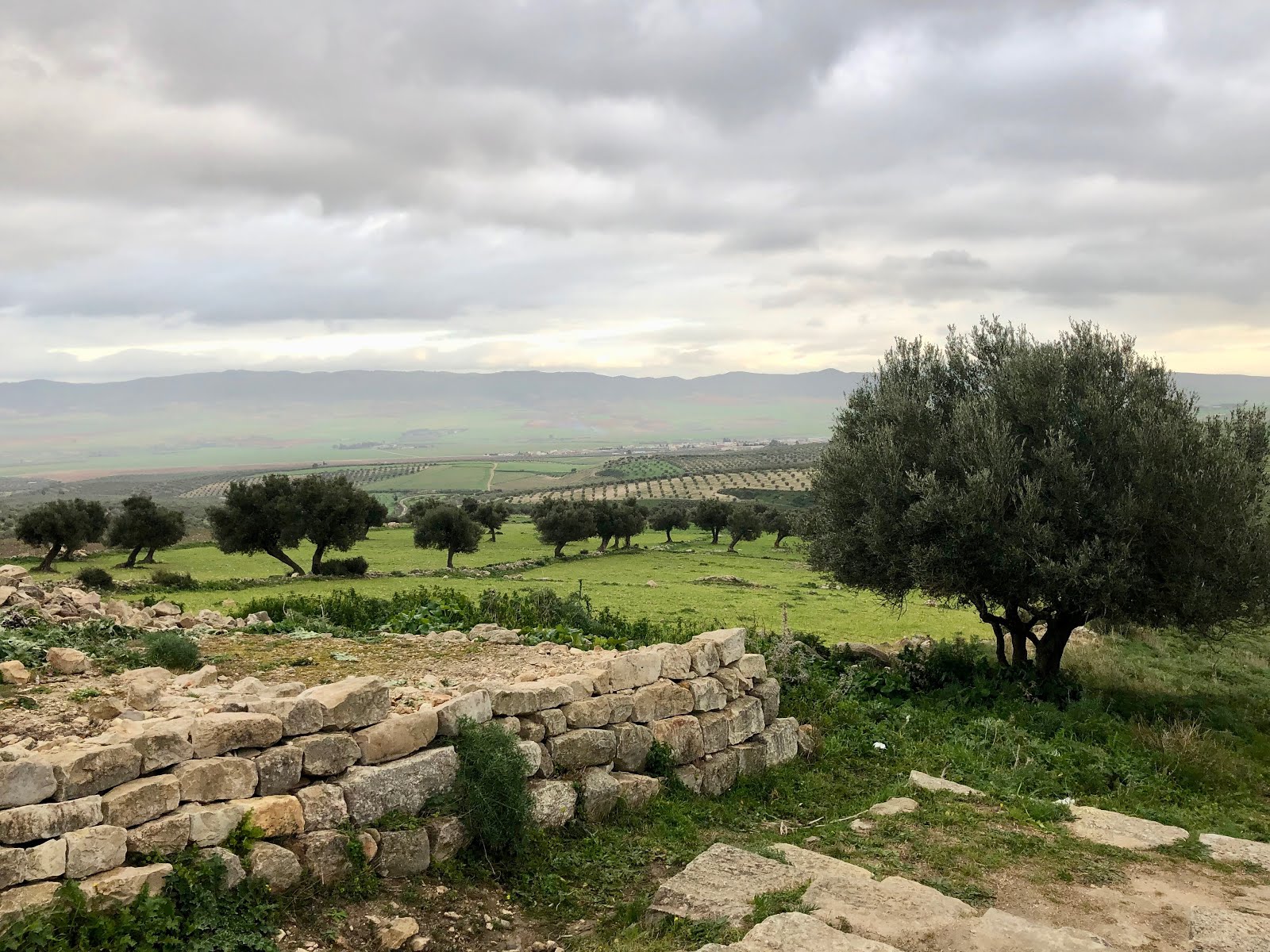 Numidian Monuments of Algeria and Tunisia