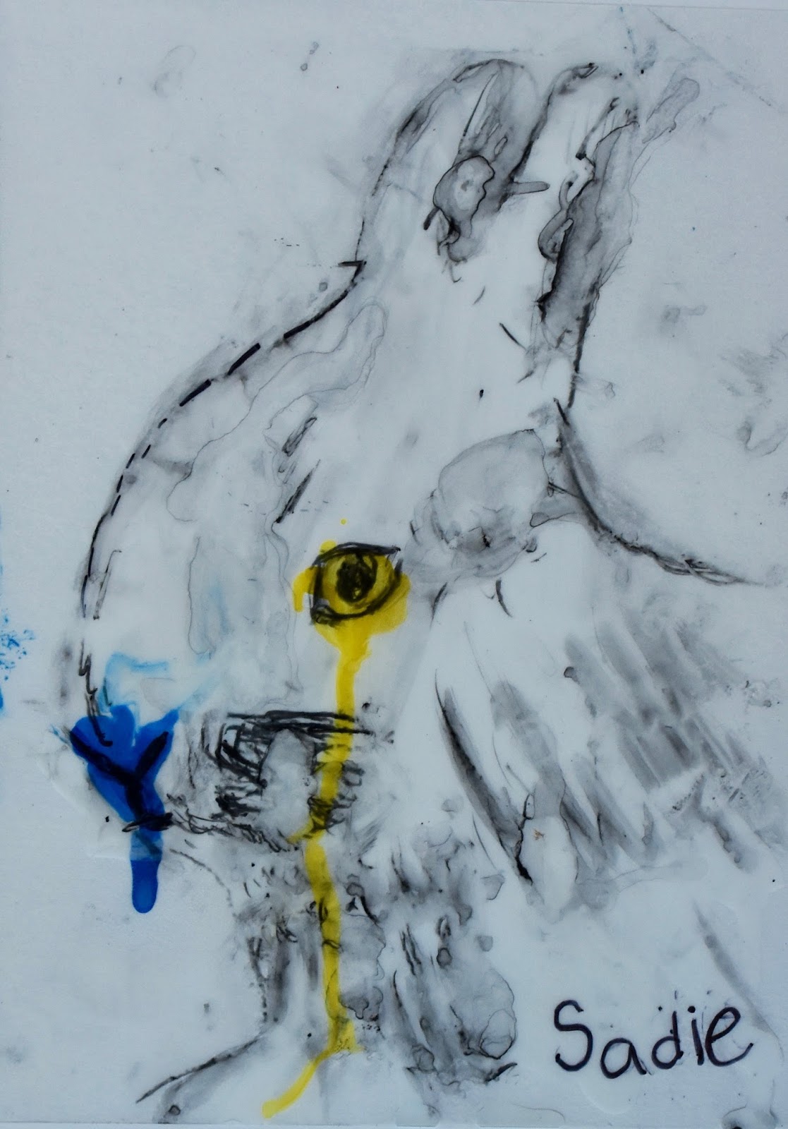 Doodlebug Dabblings: water-soluble pencil and ink on acetate