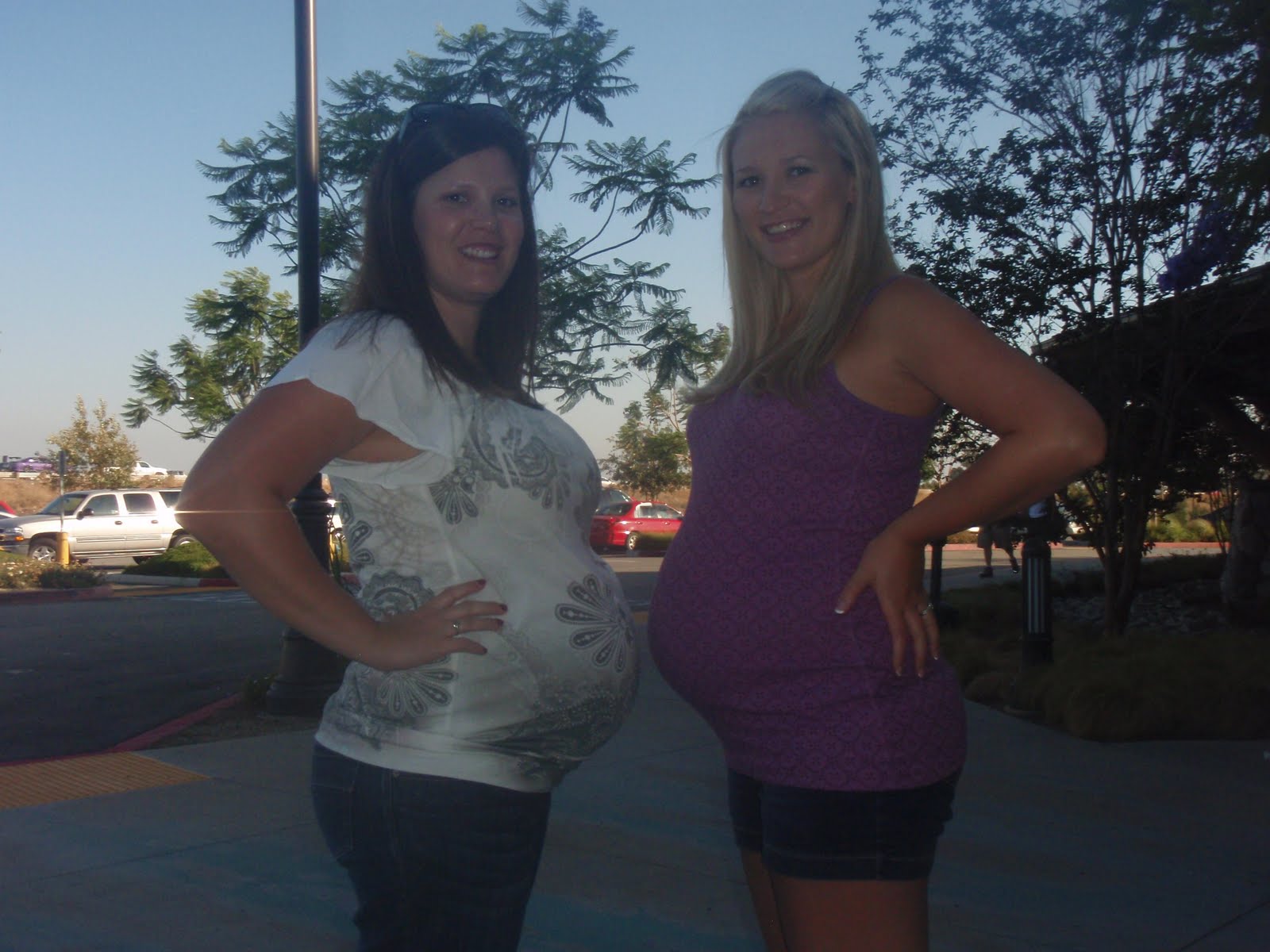 The Robinson Clan: Pregger Pics