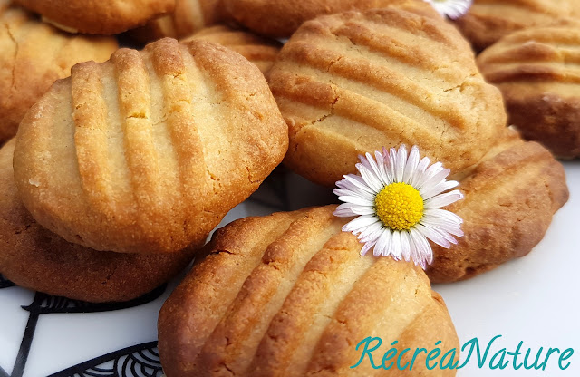 Mes Biscuits Faits Maison au Tahin Semi-complet