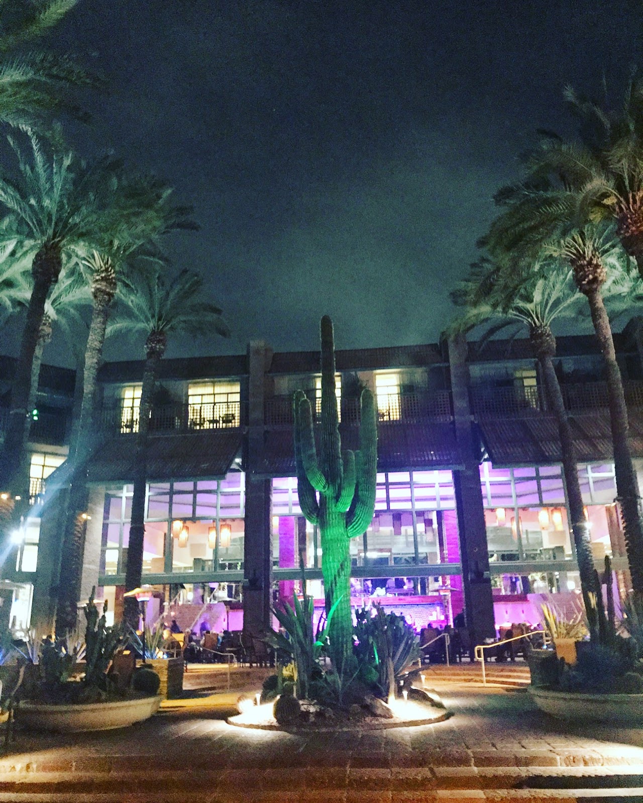 The Larson Lingo: Spring Training 2018 + A Winner