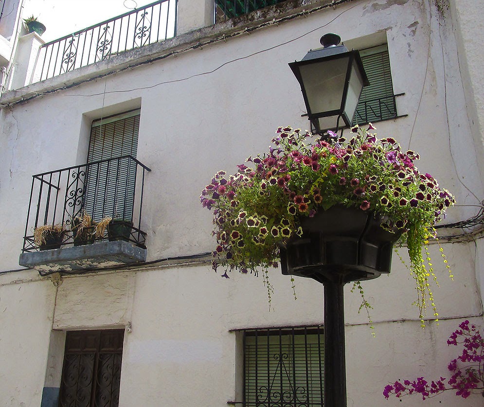 Marbella, A World Of Colour – Moving with Mitchell