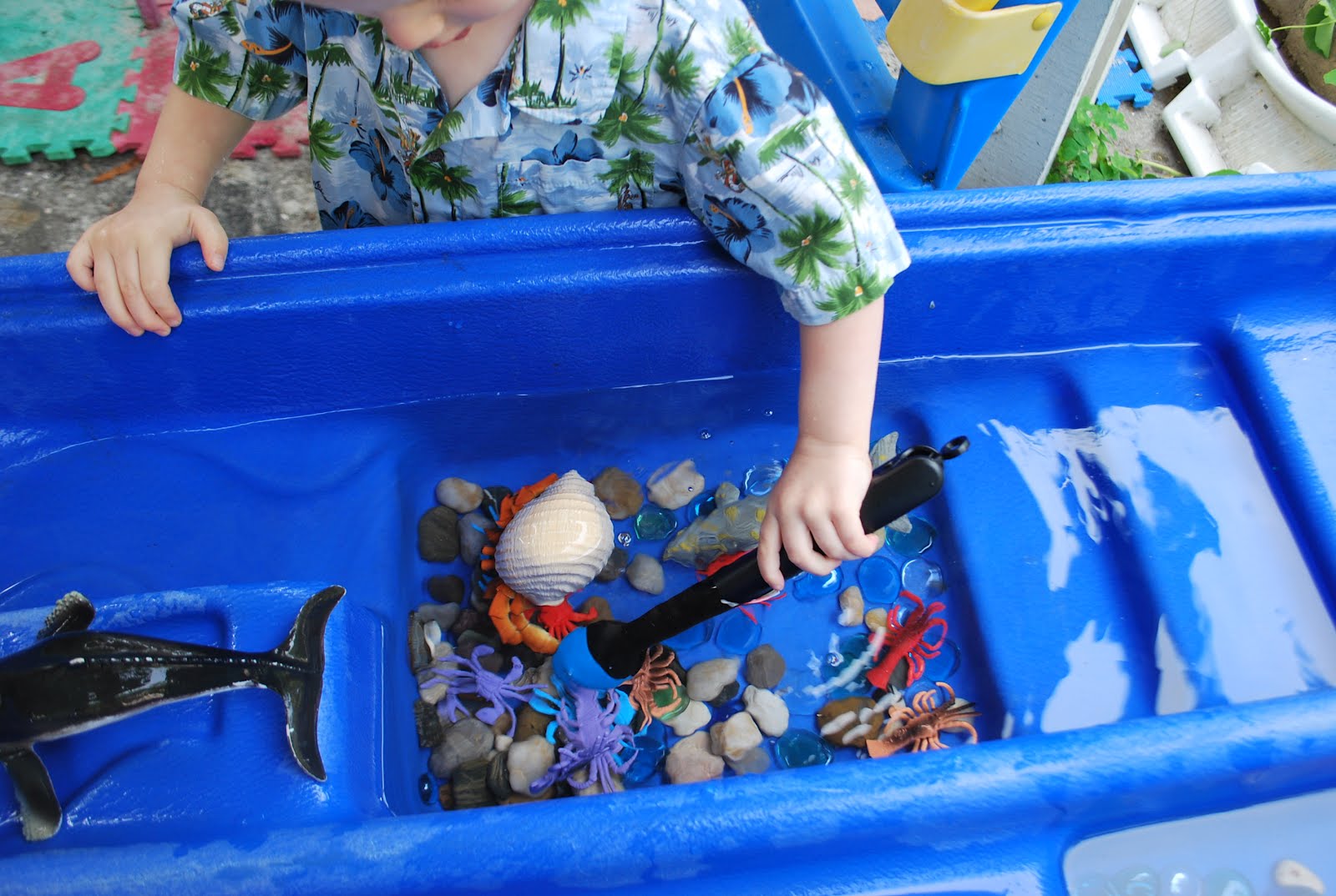 Familylicious Preschool Projects: Sensory Table- Sea/ Ocean