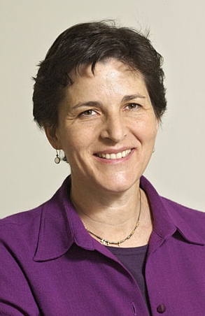 Reinventing the Adventist Wheel: The Emergent Genius Of Ant Colonies