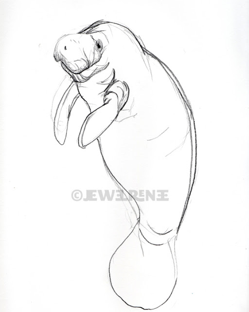 Jewel Renee Illustration: Baby Manatee Pencil Drawing