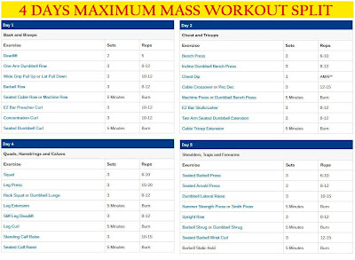 Weekly Gym Workout Schedule