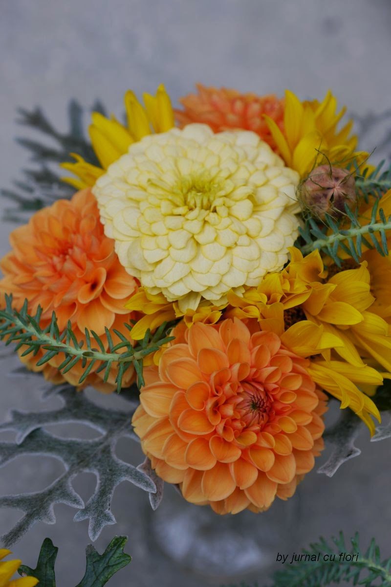 Jurnal cu flori: Mijloc de septembrie plin cu flori