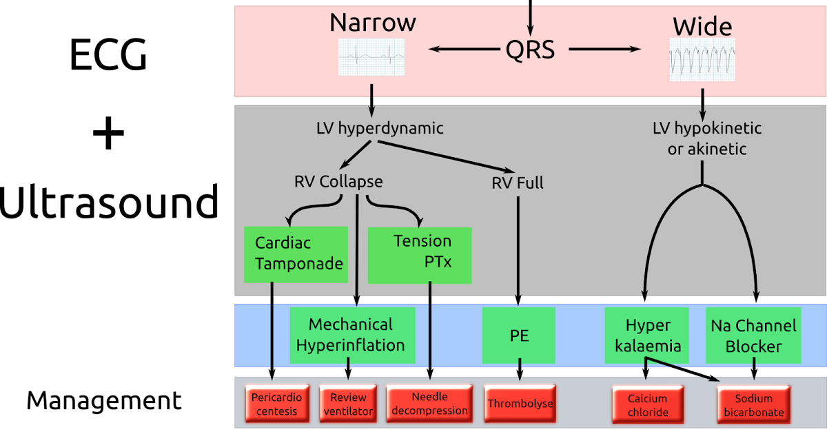 Dr Han Naung @ Henry Han : Electrophysiology and Heart Rhythm ...