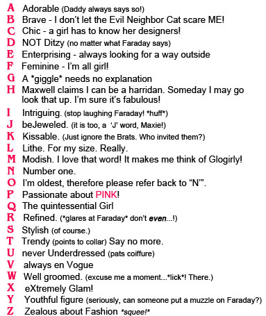 A Tonk's Tail... err, Tale...: Our ABC meme!