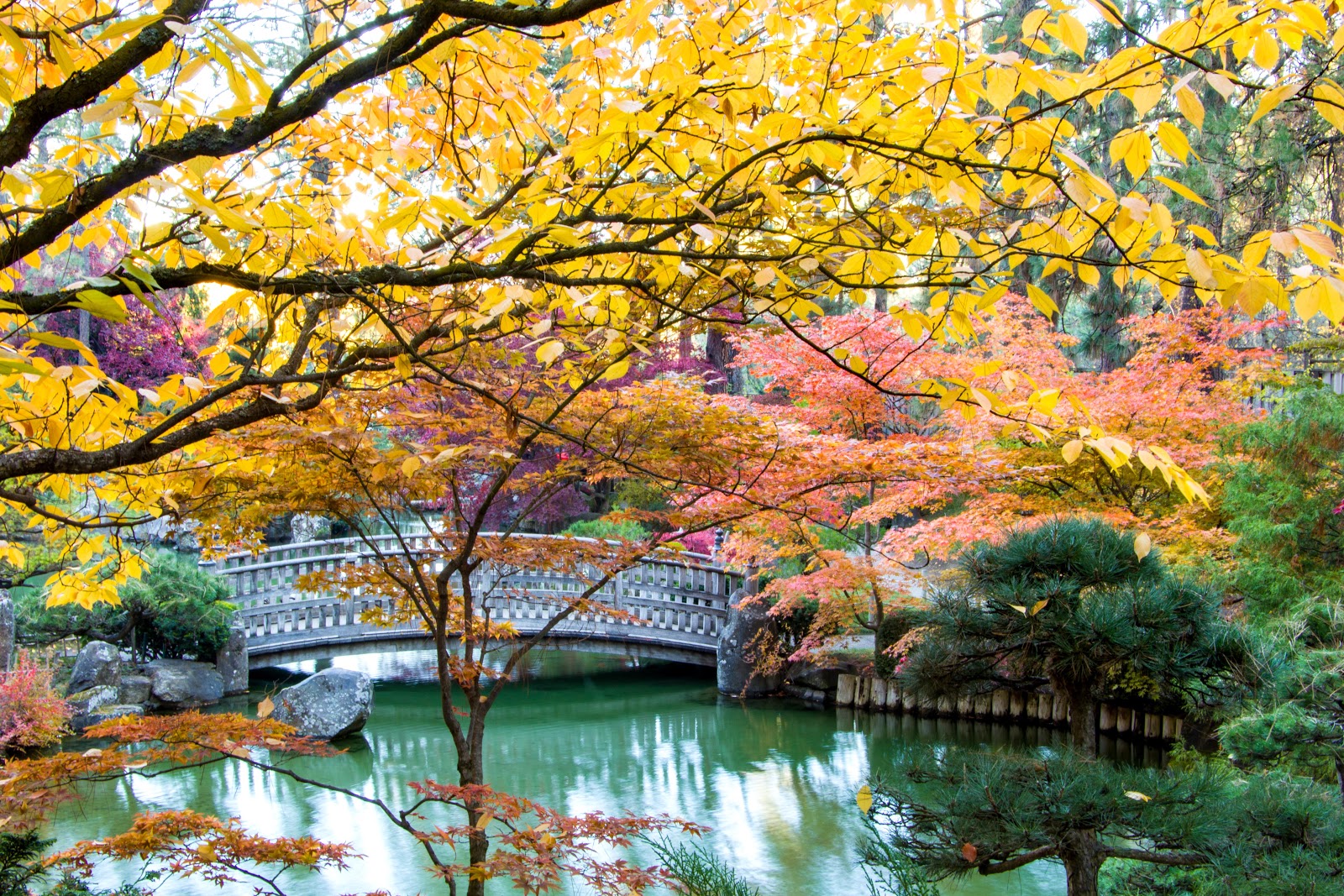 The Paper Boutique: Manito Park