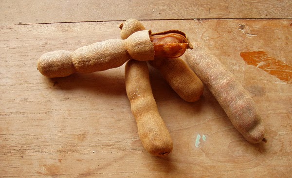 HEALTH IS WEALTH: 20 Amazing Benefits Of Tamarind For Skin, Hair And Health