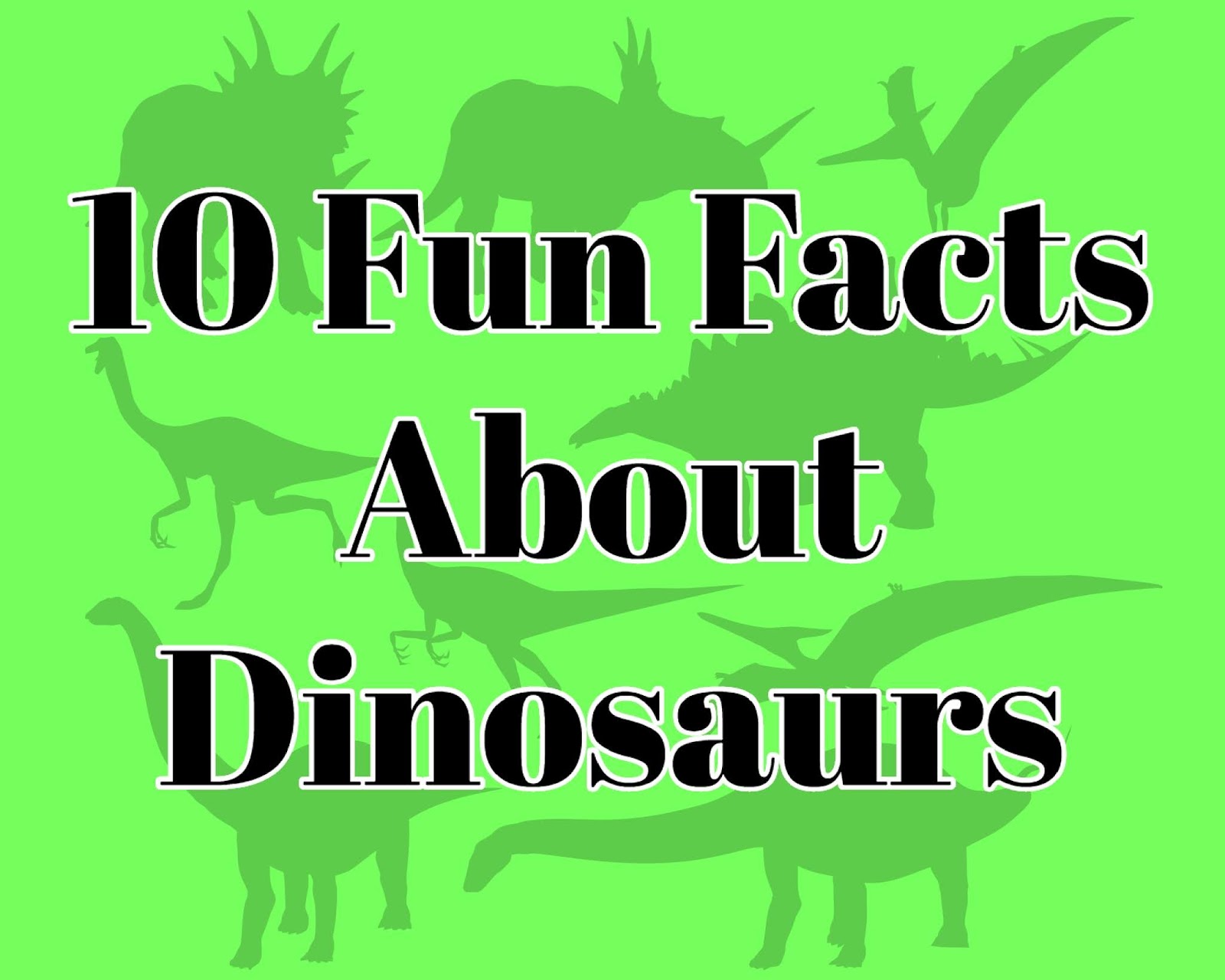 Cjo Photo 10 Fun Facts About Dinosaurs