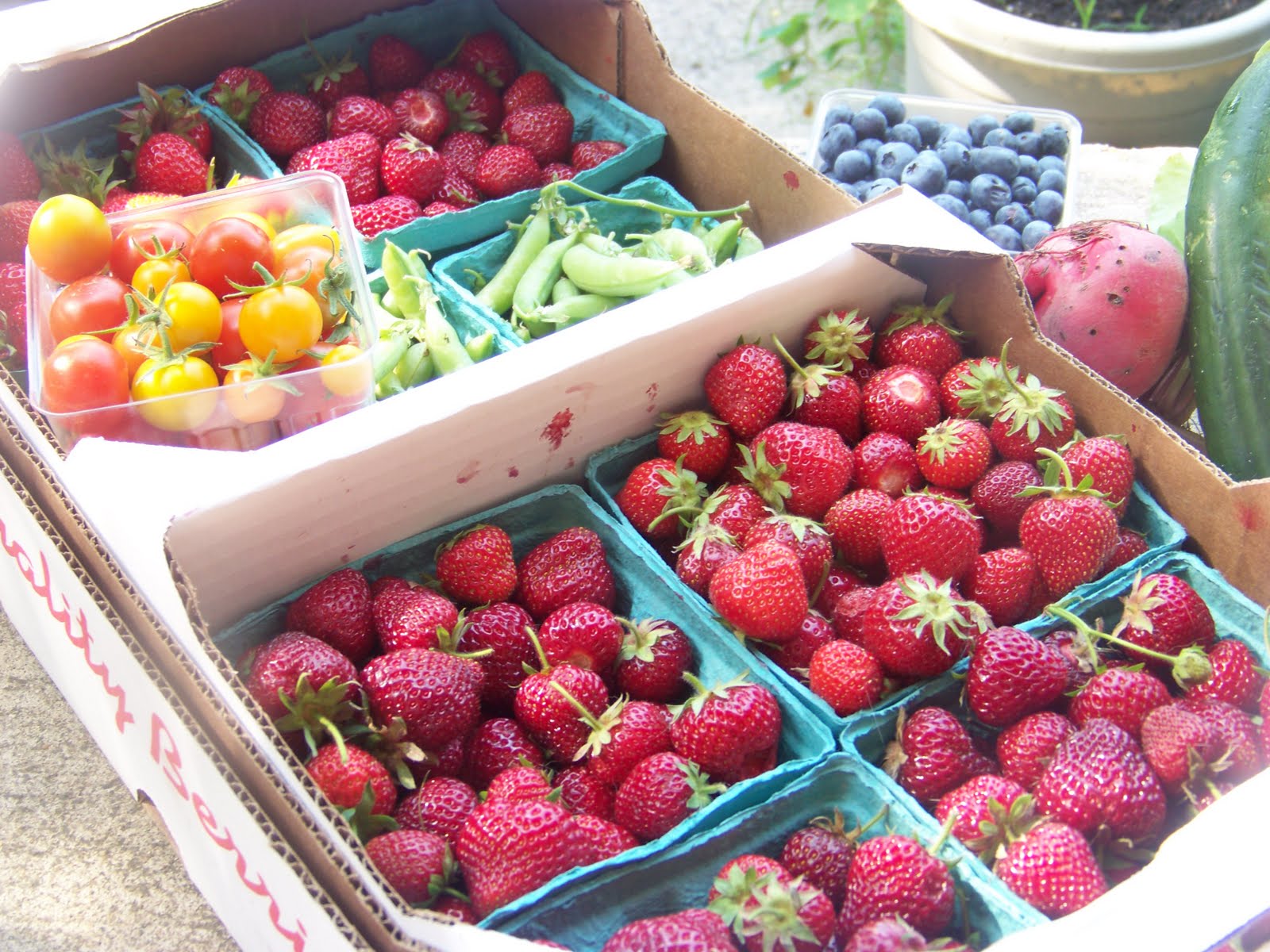 Tora's real food: Connecting farmers and consumers: Two examples of ...