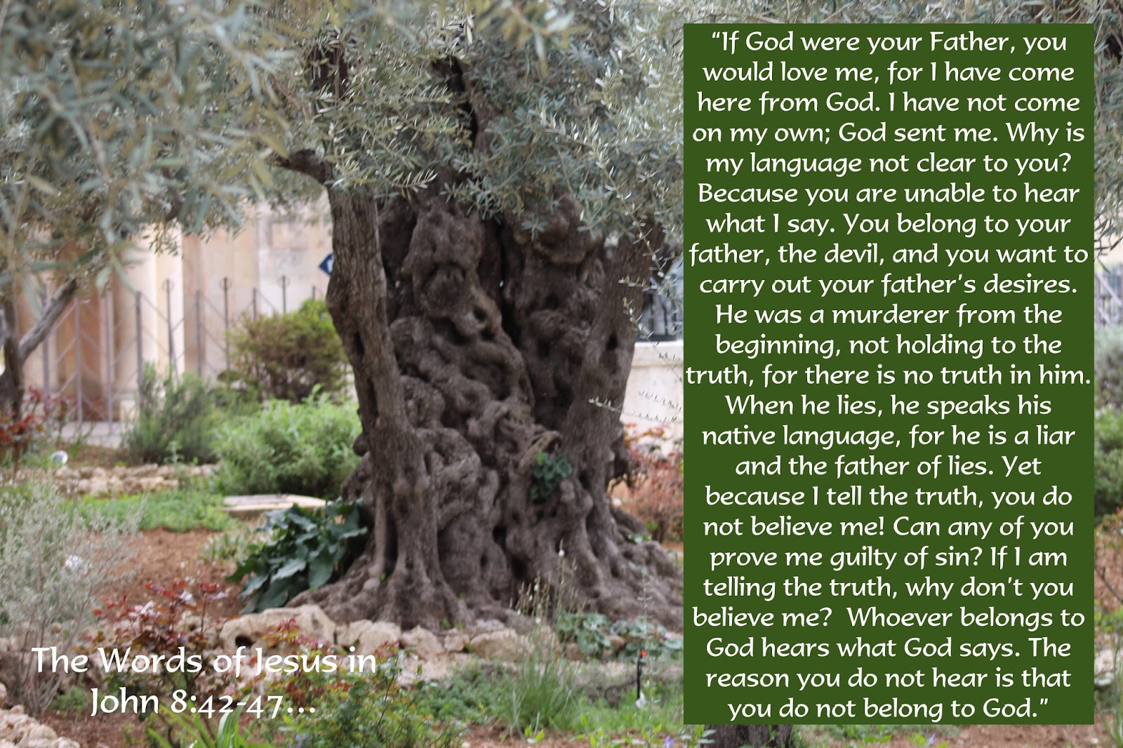 My Strength: John 8:42-47 - "Open Up The Heavens"