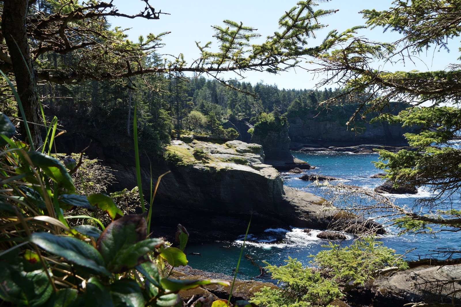 cape flattery and shi shi beach adventures - teacups and cinnamon