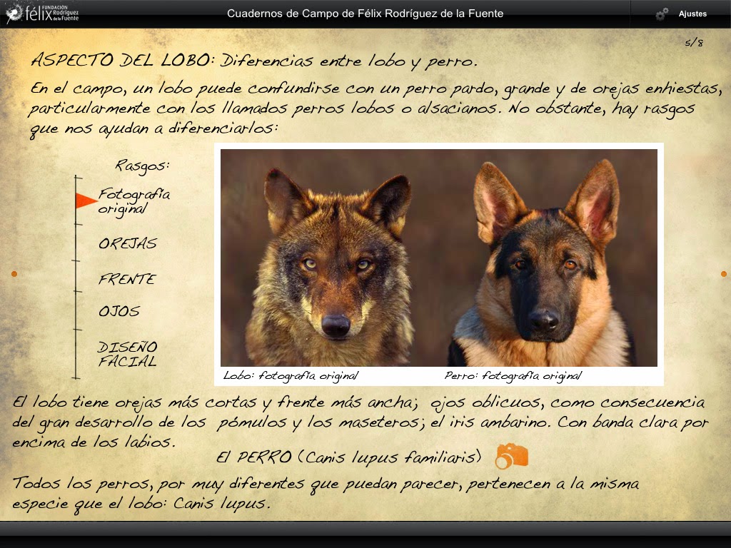 Departamento de Biología IES Laguna de Tollón: febrero 2014