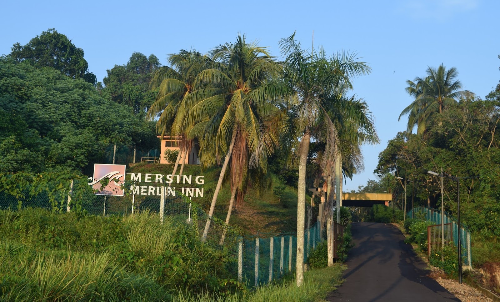 The World Through My Lens: 2016 : My Year In Pictures.