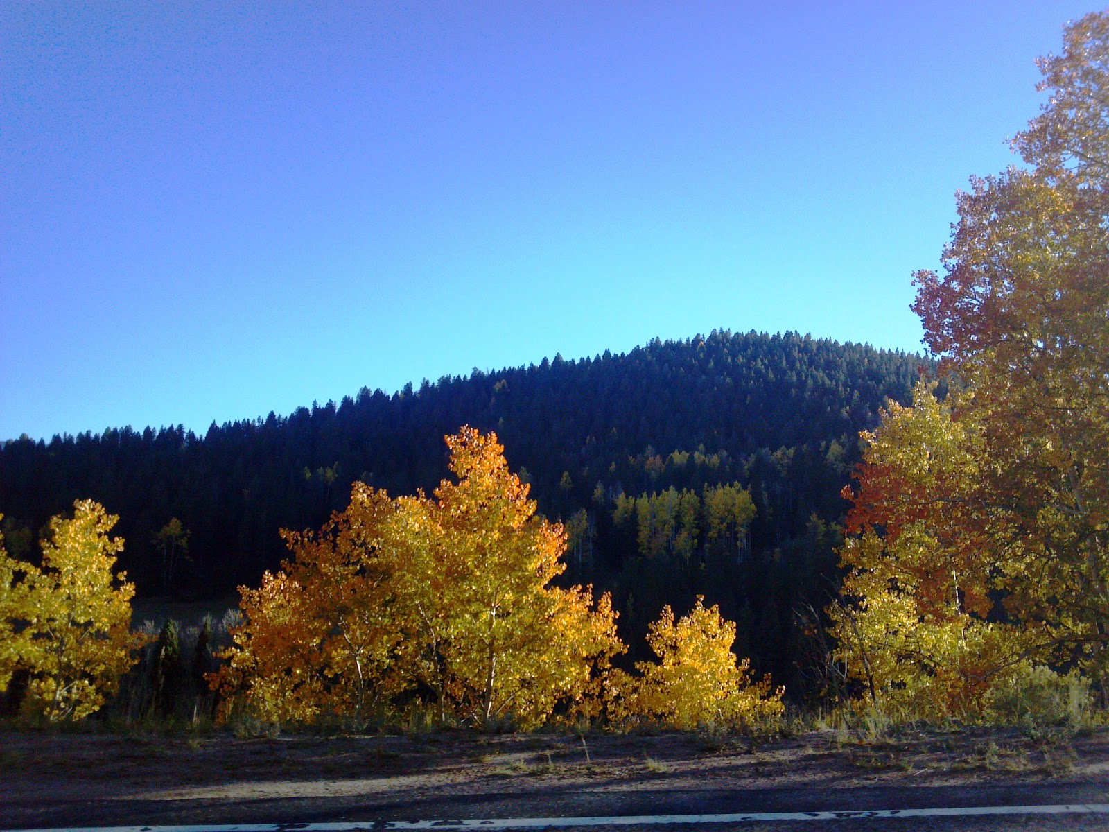 San Isabel Fall 2012 Photo Tour (Aspen, Colorado City: homes, live ...
