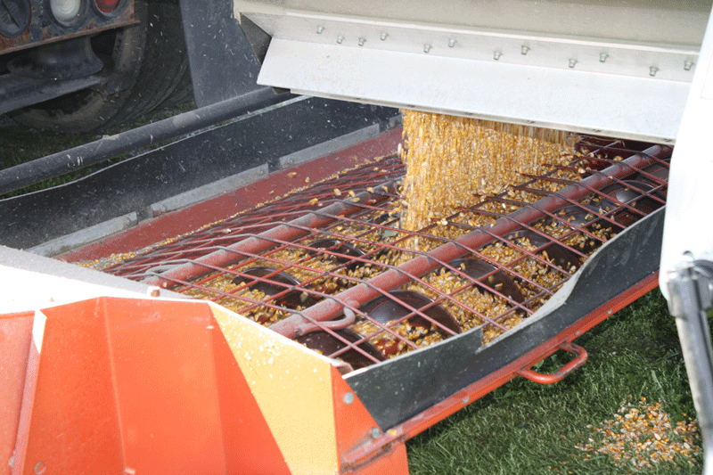 Gal in the Middle: Wrapping Up Corn Harvest 2011