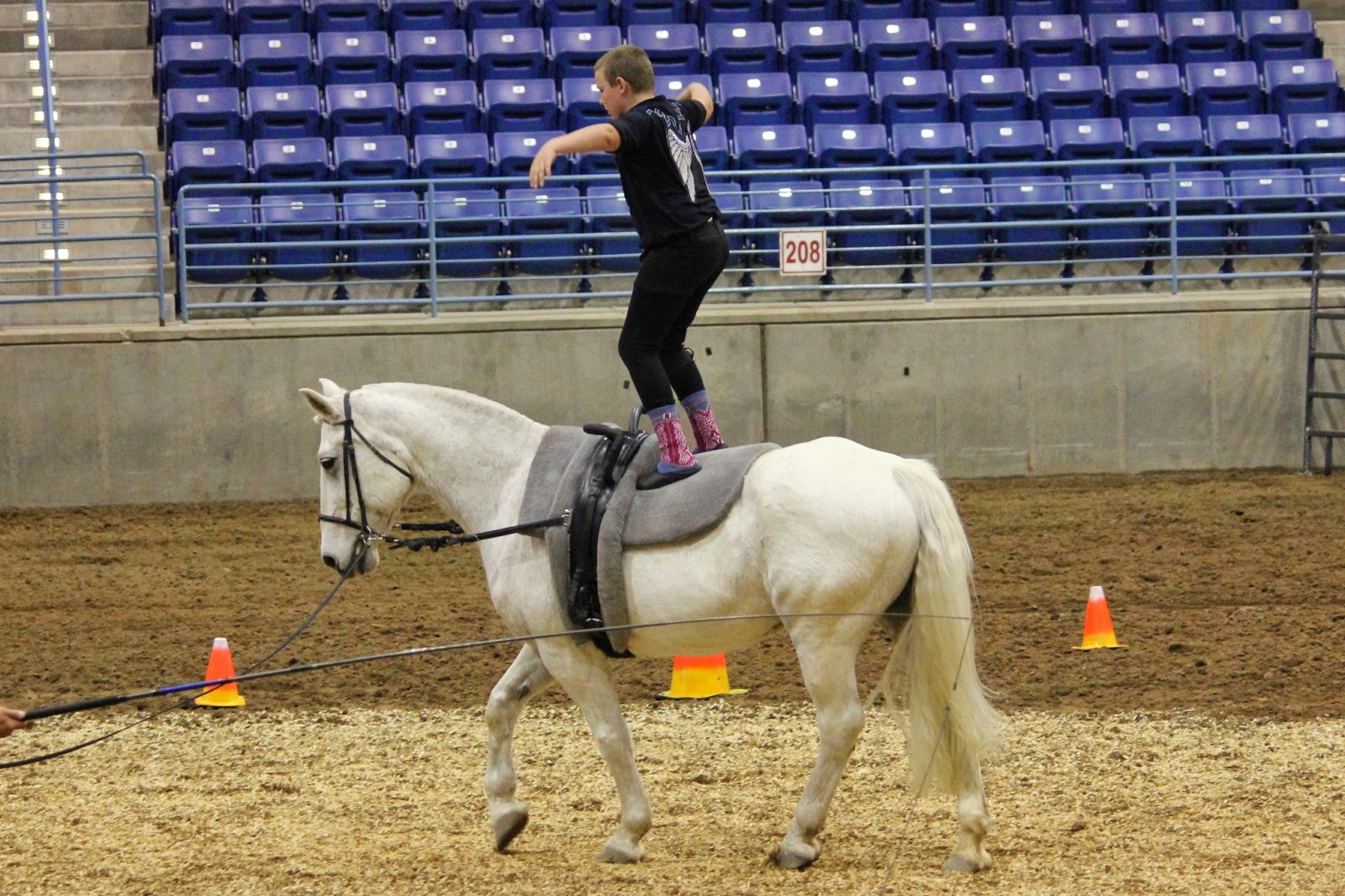 Technique Equestrian Vaulting Club: Regional Vaulting Competition in ...