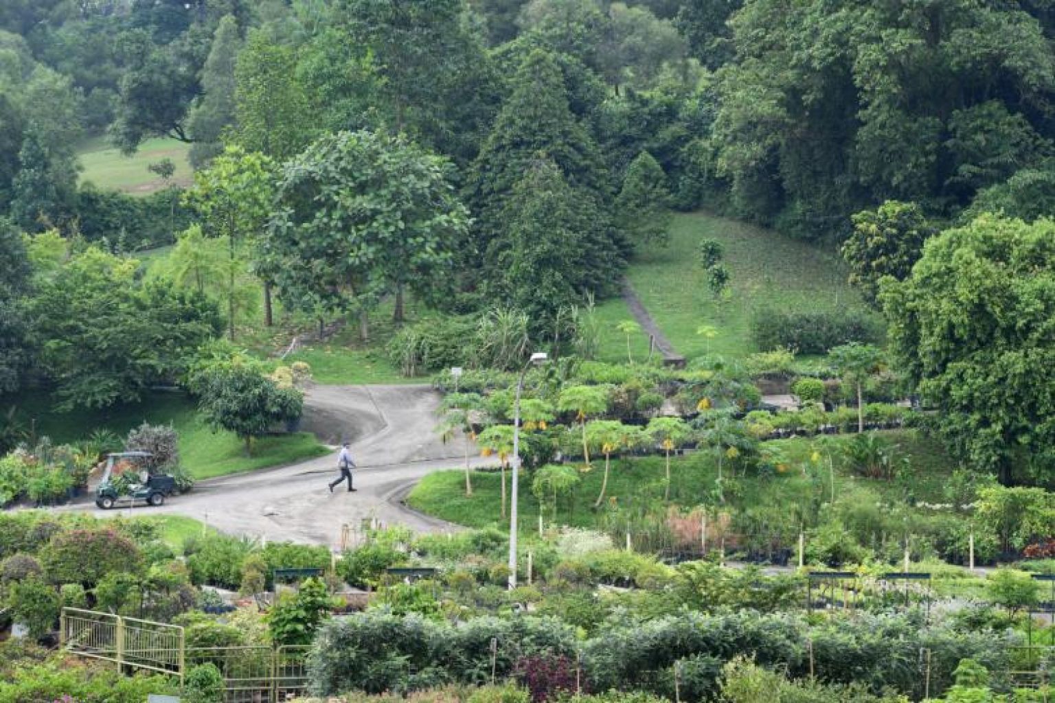 Interesting Green: NParks to be lead agency for animal and wildlife ...