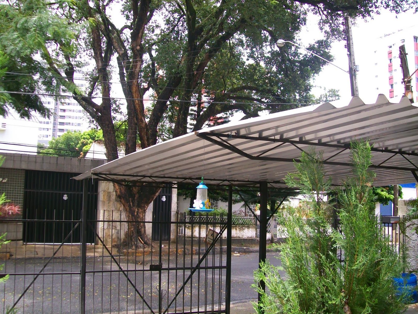 LER E ESCREVER EM REDE: sobre A Árvore, de Bartolomeu Campos de Queirós ...