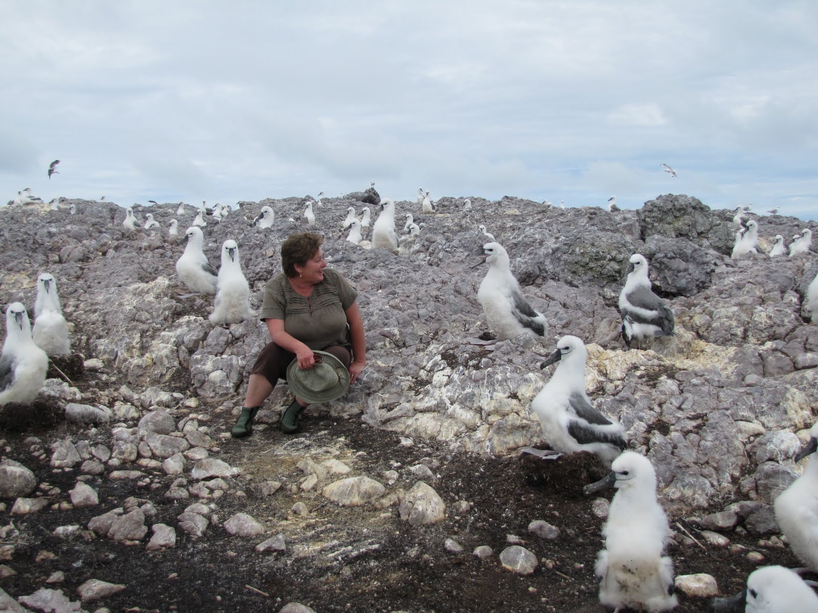 Escape to an Island: Trip to Albatross Island