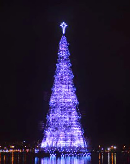 tallest Christmas tree