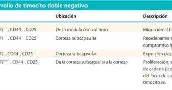 INMUNOLOGER: Linfocitos T y citocinas.