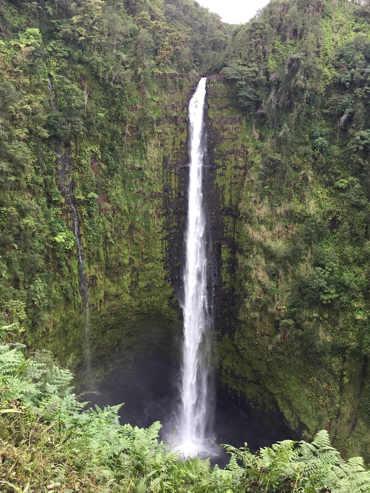 Akaka Falls - state Park