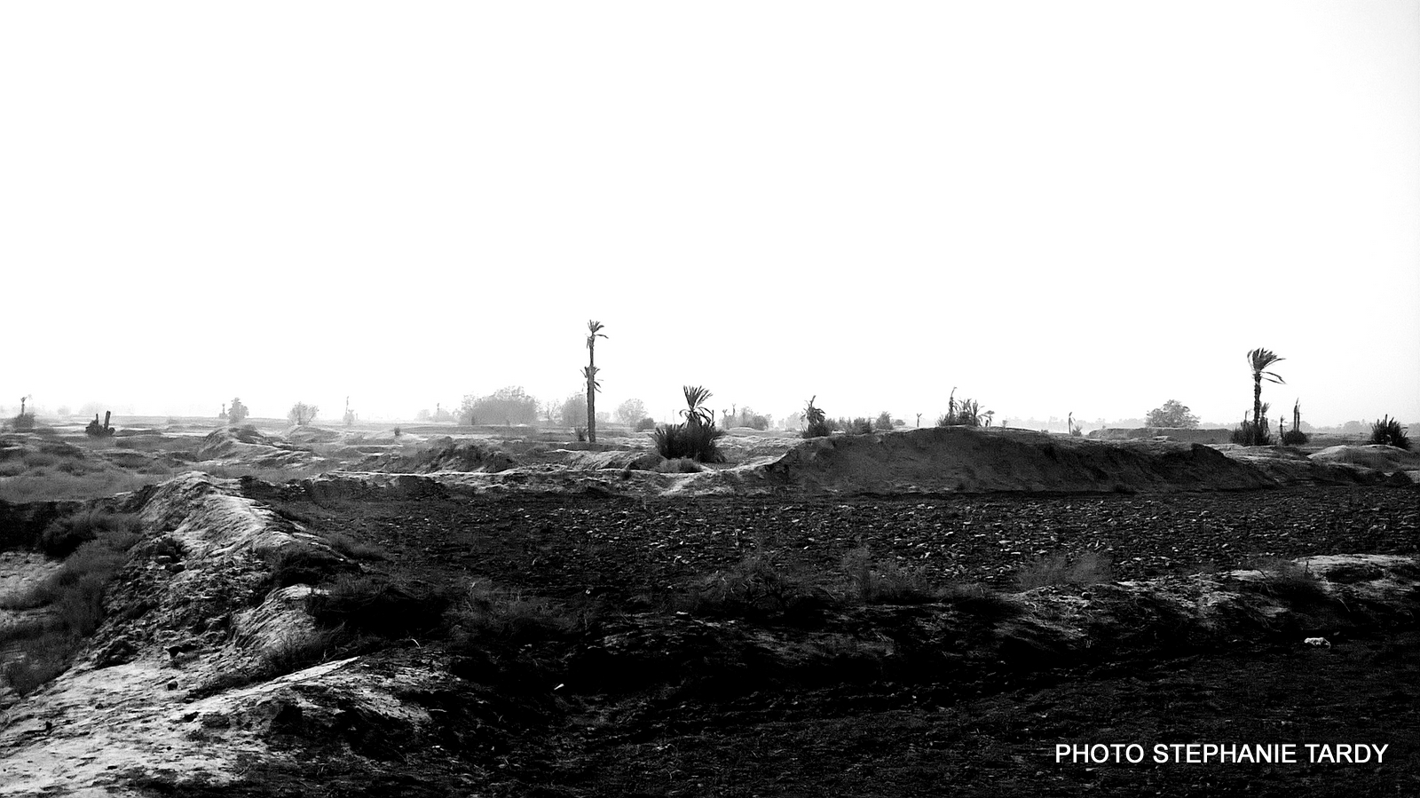 PHOTOGRAPHIES STEPHANIE TARDY
