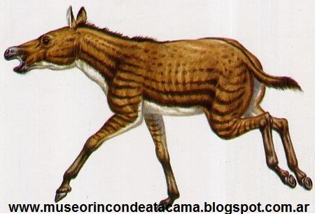 Museo Municipal Rincon de Atacama. Termas de Rio Hondo. (Sitio Oficial ...