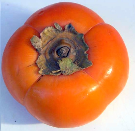Persimmon Fruit: Nutrition, Health Benefits, And More, 57% OFF