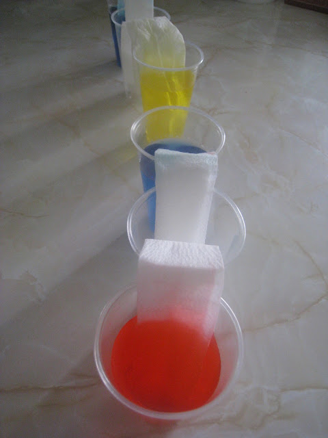 Rainbow Science- Absorption - Teach Beside Me