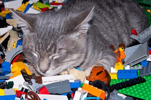 Kaori Likes Things: Caturday: Cats sleeping on Lego piles