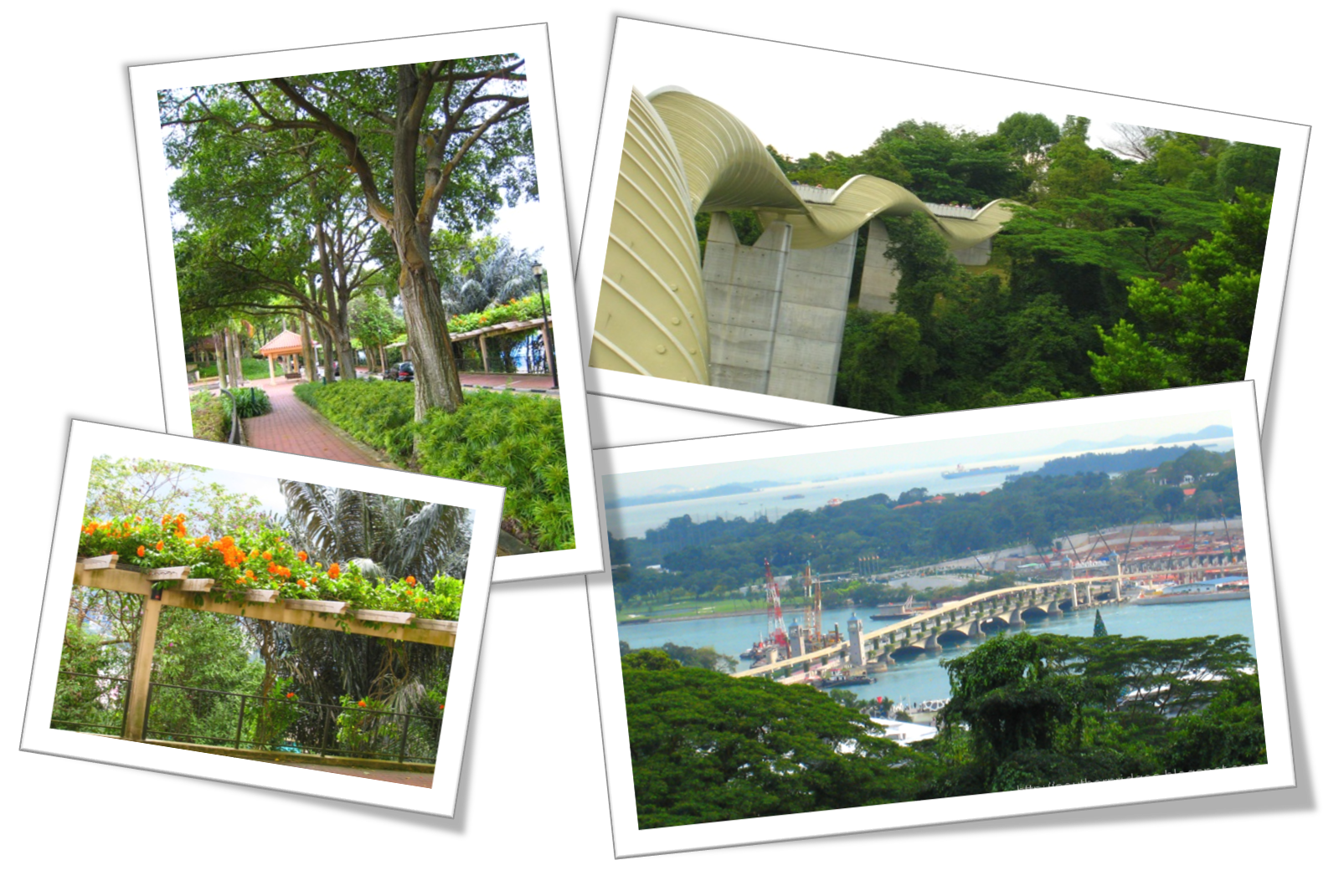 Southern Ridges Overview, Visitor information